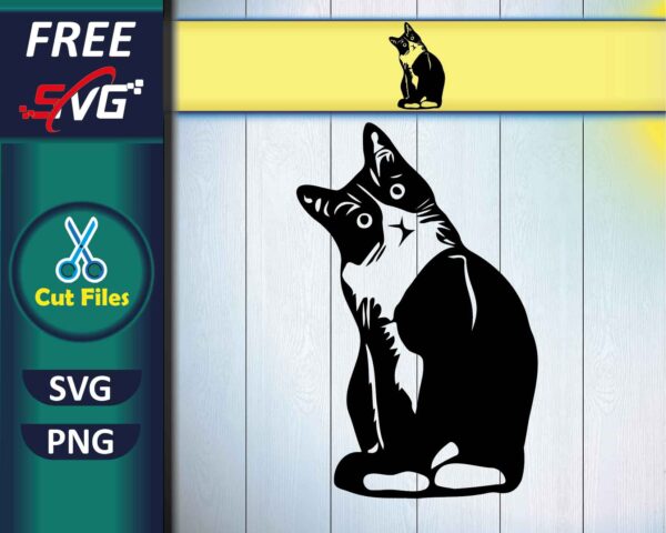 Cute cat SVG Free, peeking cat, Cut files for Cricut