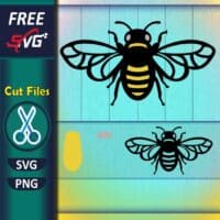 Layered Bee SVG free, Cut File for Cricut | Free SVG Files